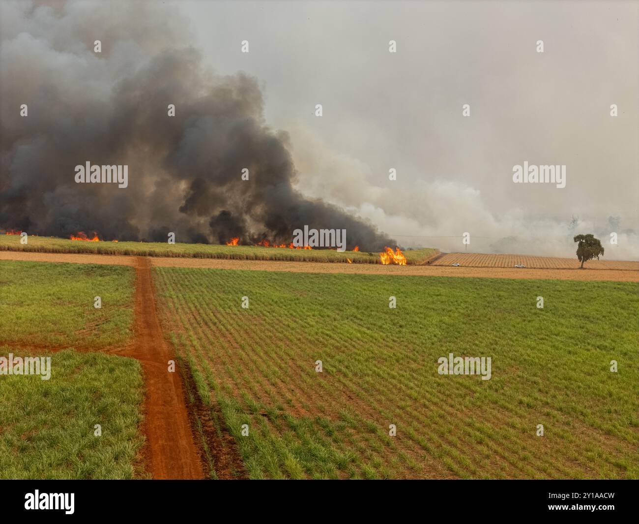 Sugar cane Fire plantation smoke Stock Photo - Alamy