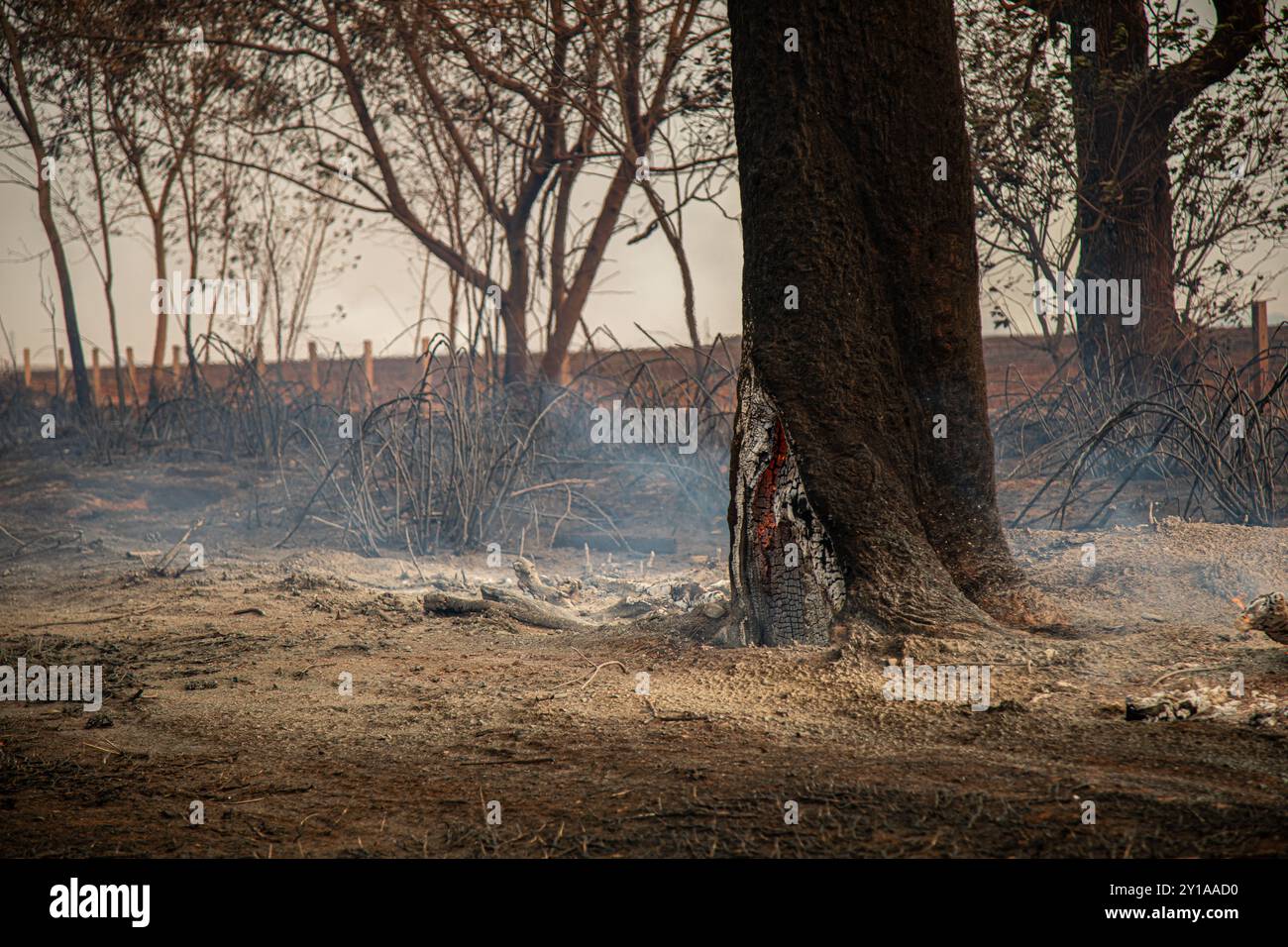 Fire burning side of road hi-res stock photography and images - Alamy