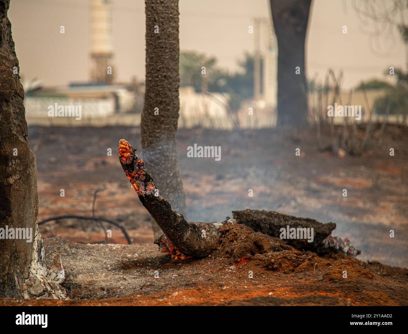 Fire burning side of road hi-res stock photography and images - Alamy
