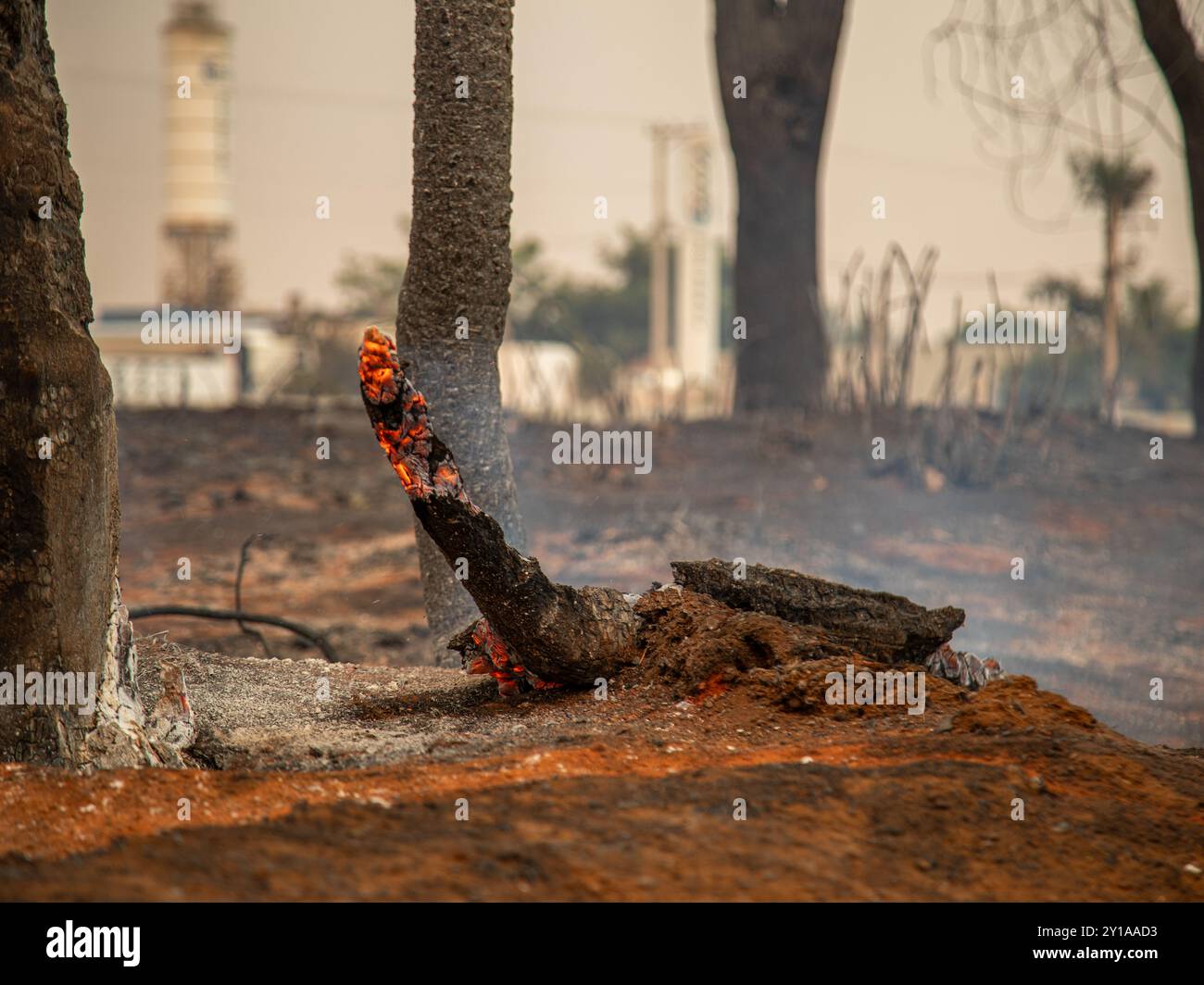 Fire burning side of road hi-res stock photography and images - Alamy