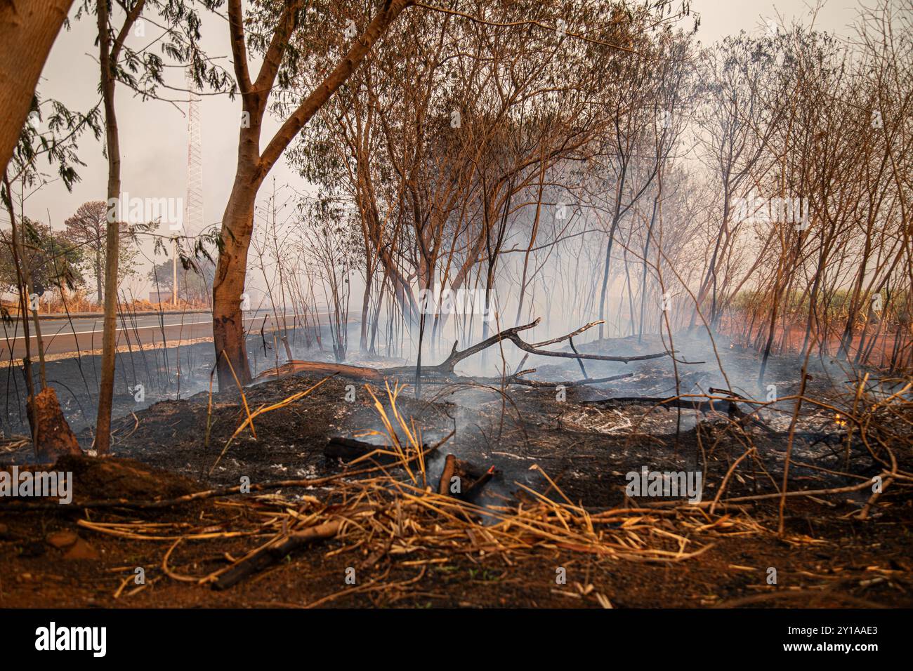 Fire burning side of road hi-res stock photography and images - Alamy