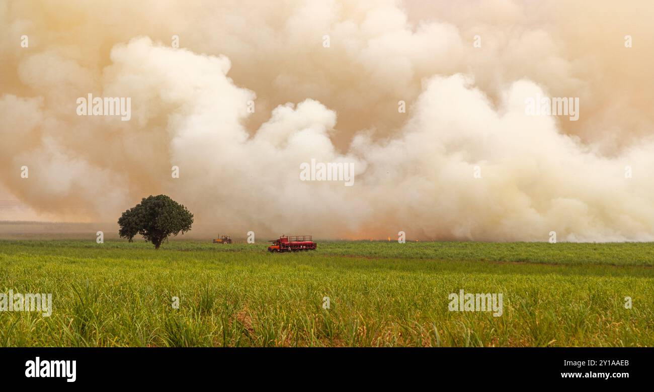 Sugar cane Fire plantation smoke Stock Photo - Alamy