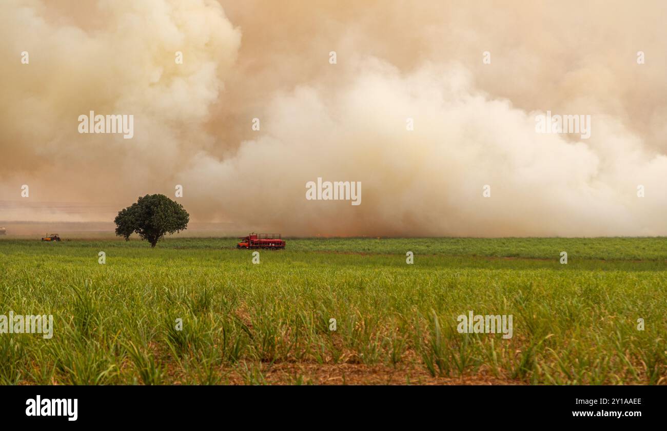 Sugar cane Fire plantation smoke Stock Photo - Alamy