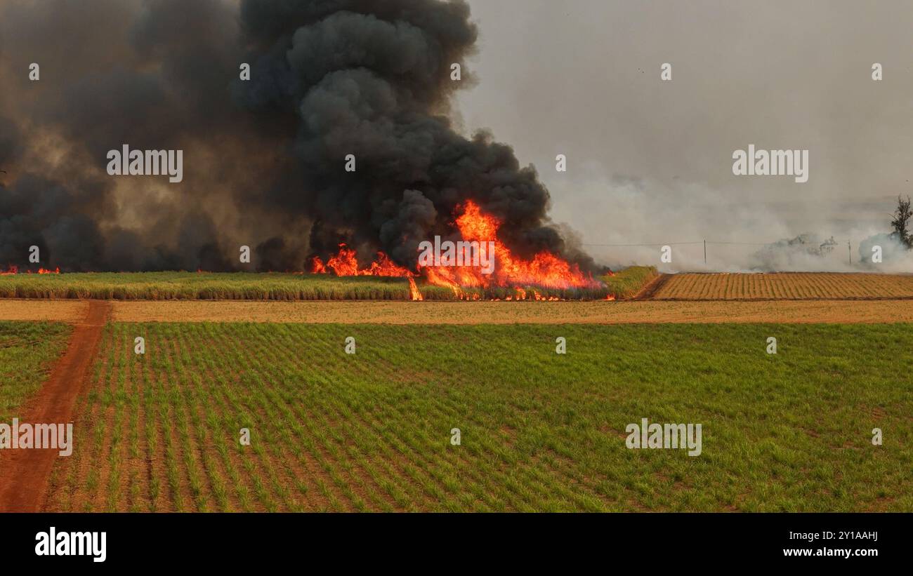 Sugar cane Fire plantation smoke Stock Photo - Alamy