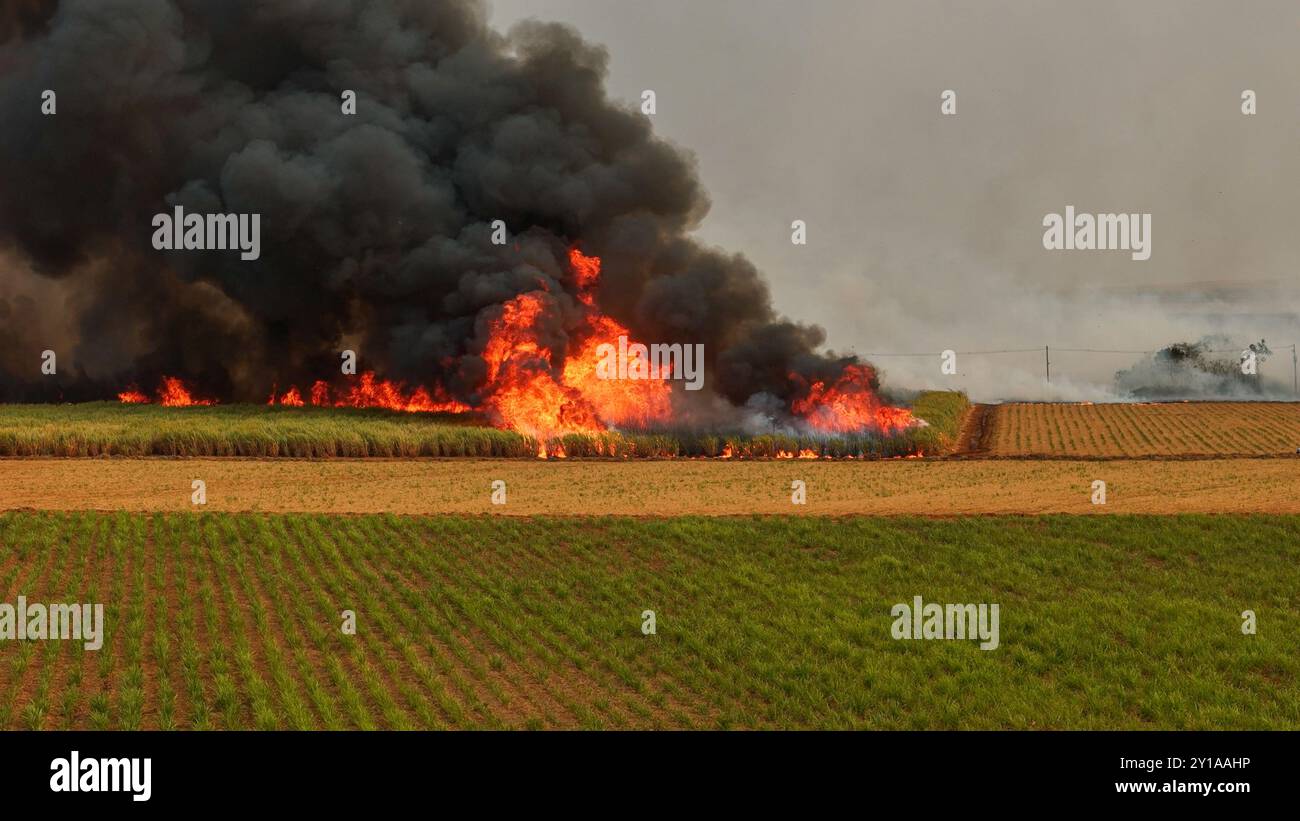 Sugar cane Fire plantation smoke Stock Photo - Alamy