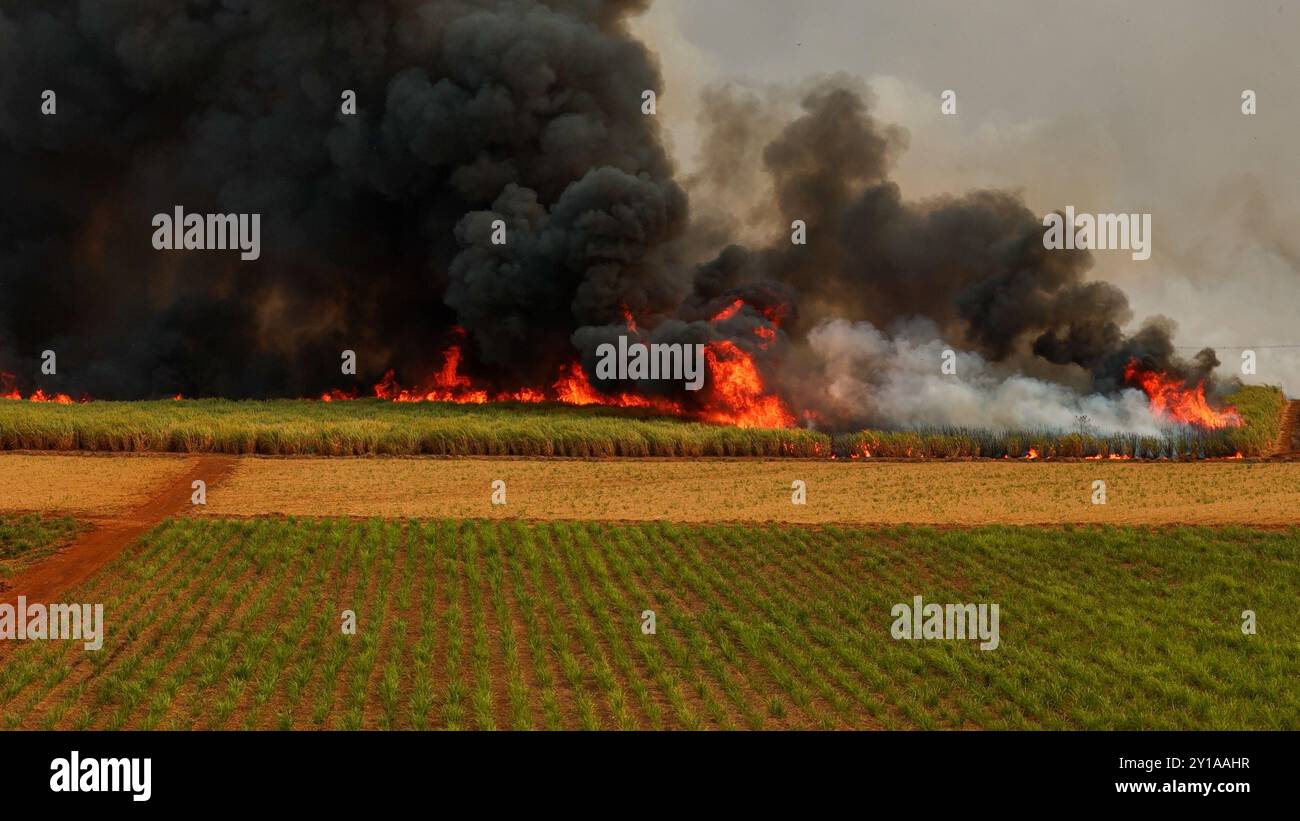 Sugar cane Fire plantation smoke Stock Photo - Alamy