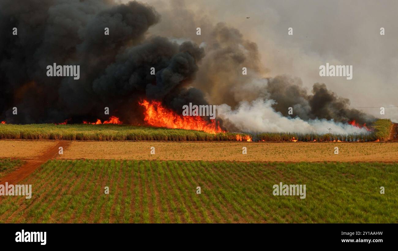 Sugar cane Fire plantation smoke Stock Photo - Alamy