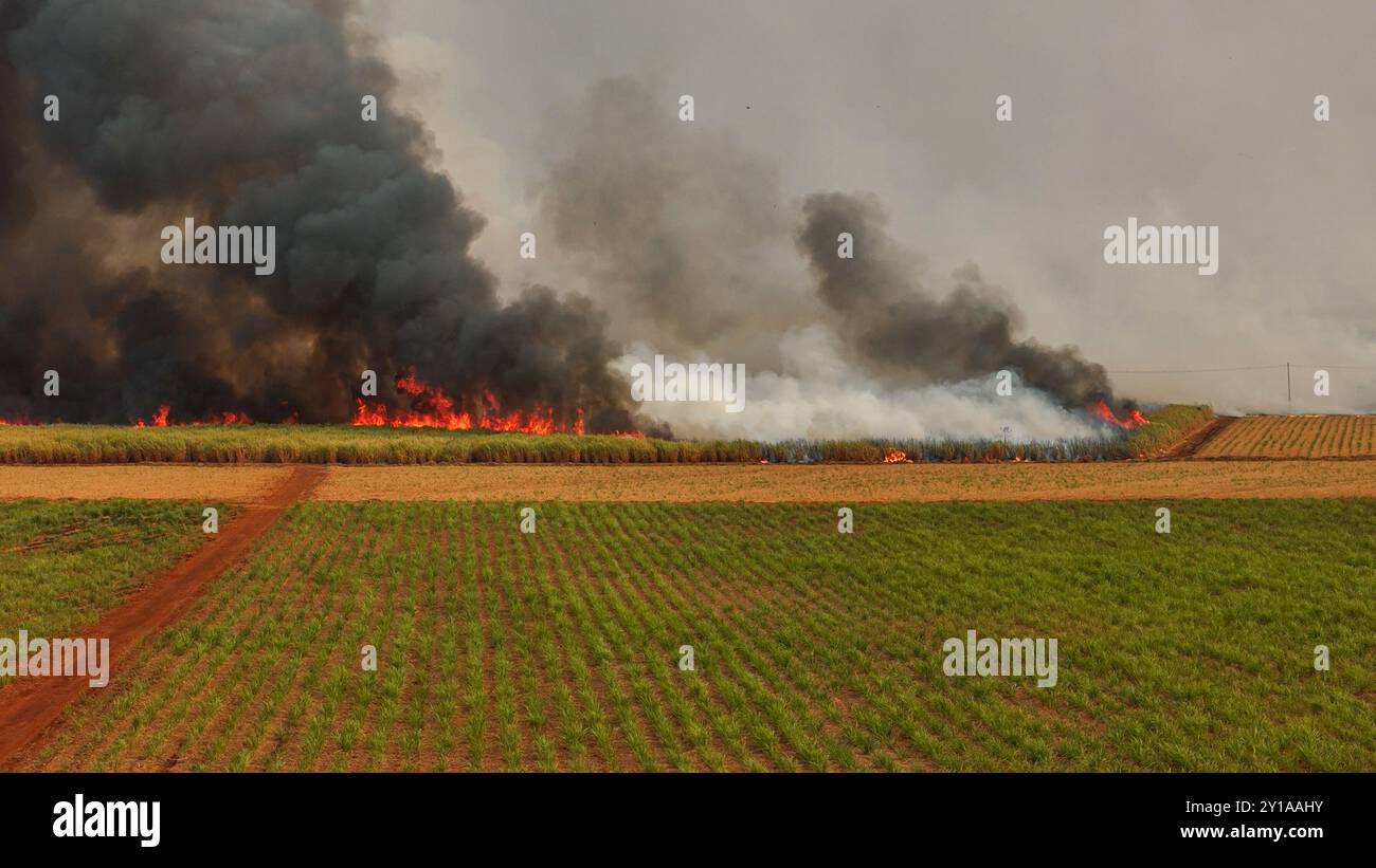 Sugar cane Fire plantation smoke Stock Photo - Alamy