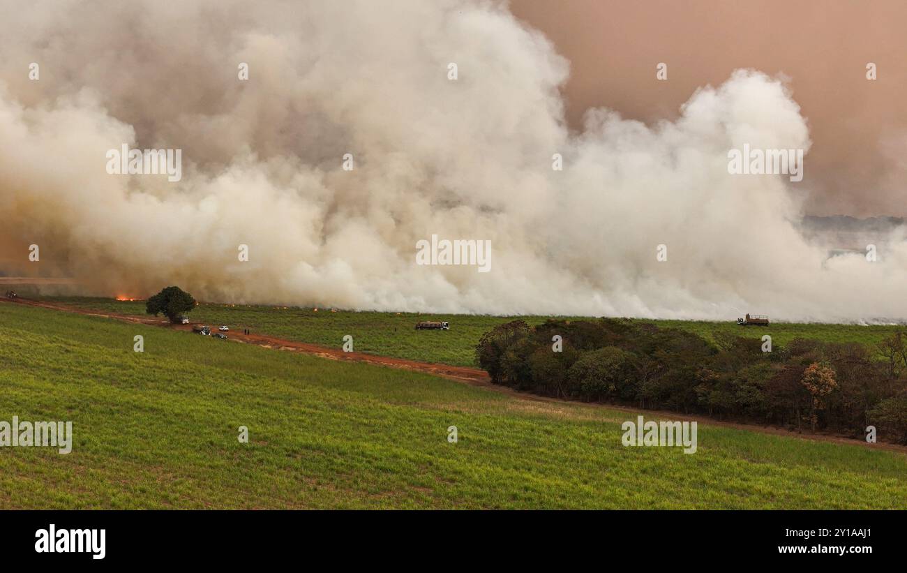 Sugar cane Fire plantation smoke Stock Photo - Alamy