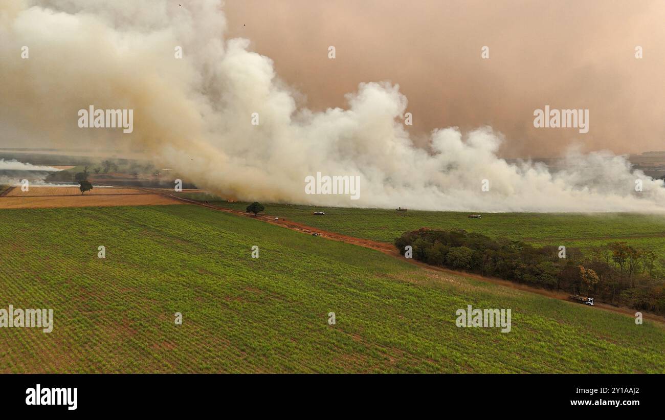 Sugar cane Fire plantation smoke Stock Photo - Alamy