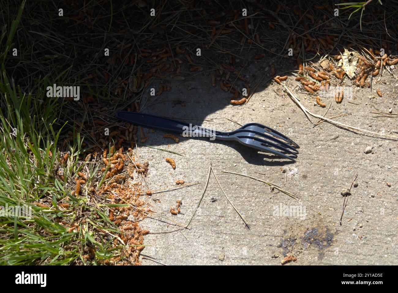 Black plasticware hi-res stock photography and images - Alamy