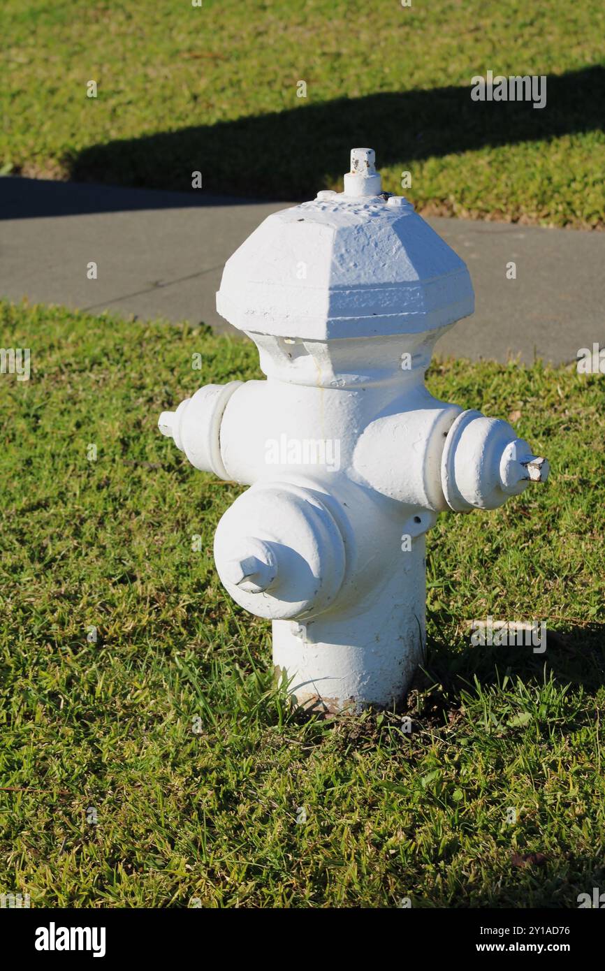 white fire hydrant near green grass Stock Photo - Alamy
