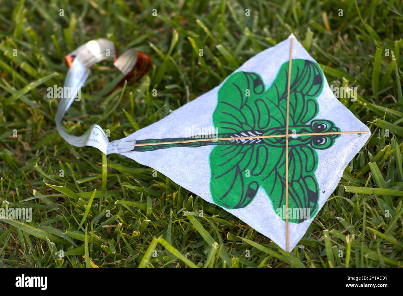 kids kite with green dragonfly design Stock Photo - Alamy