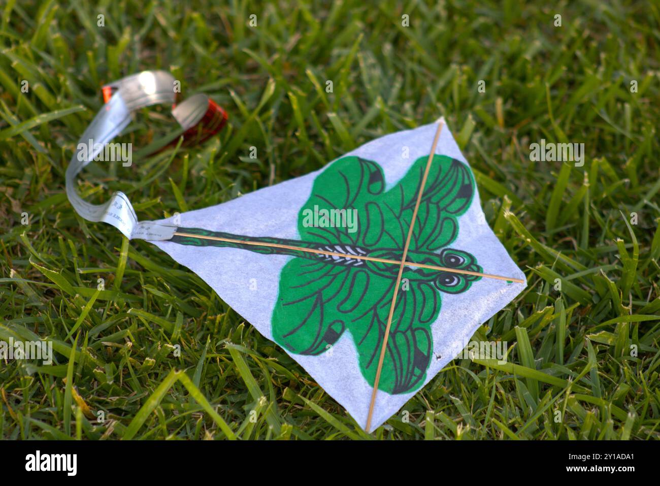 kids kite with green dragonfly design Stock Photo - Alamy