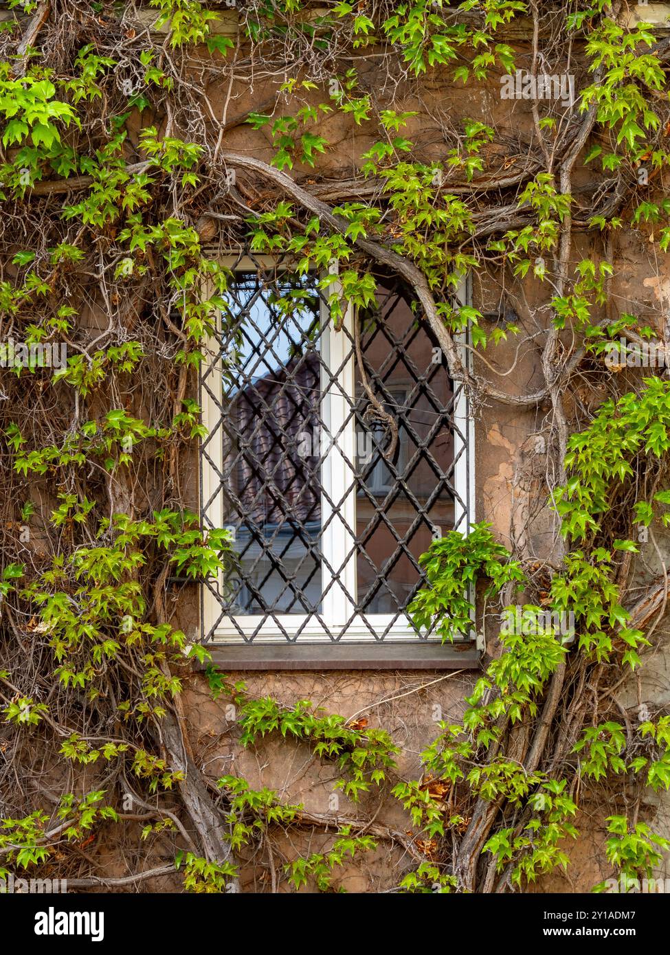 Decorative window grates hi-res stock photography and images - Alamy