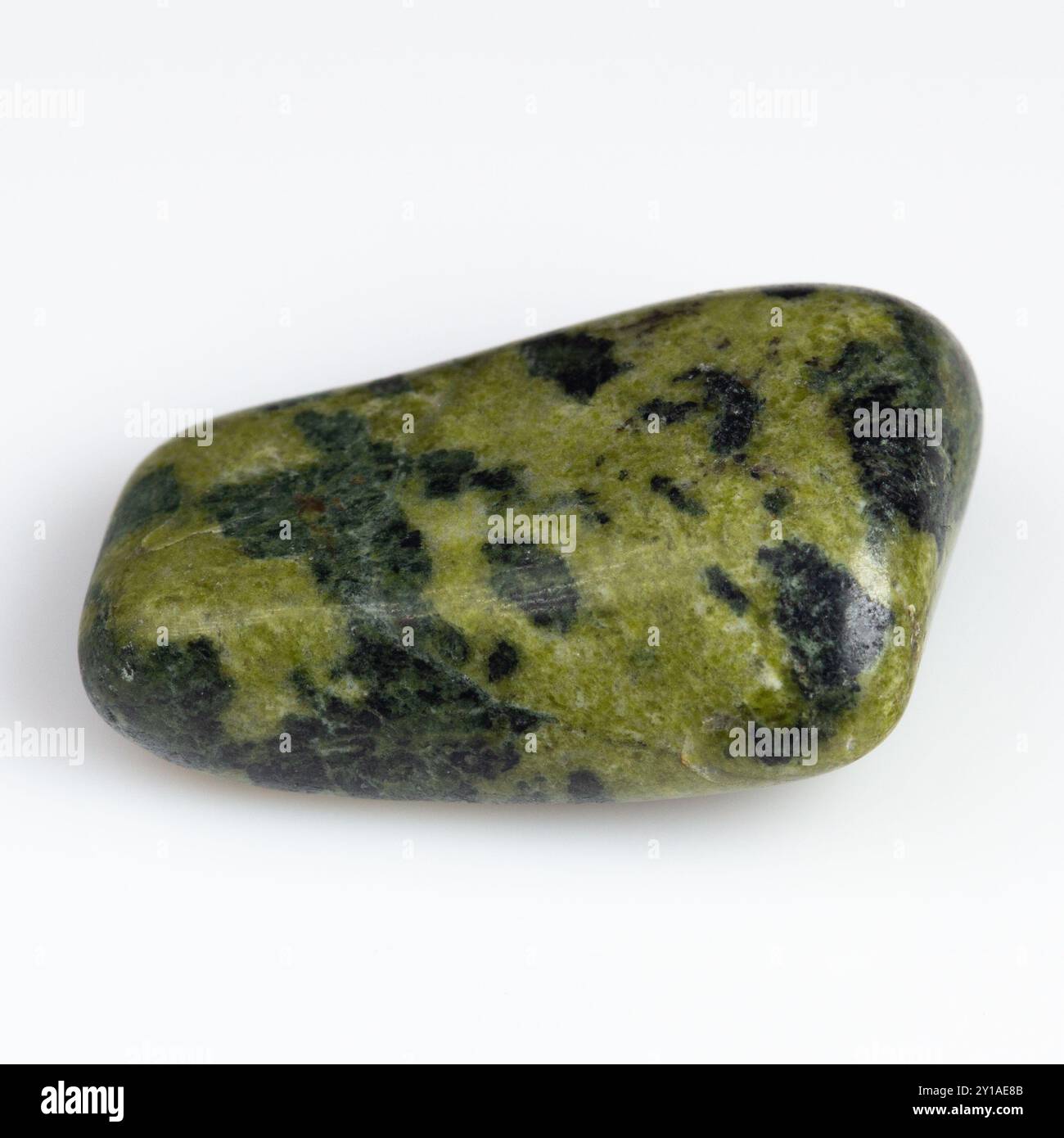 Serpentine Gemstone: Polished Green Stone with Intricate Patterns on ...