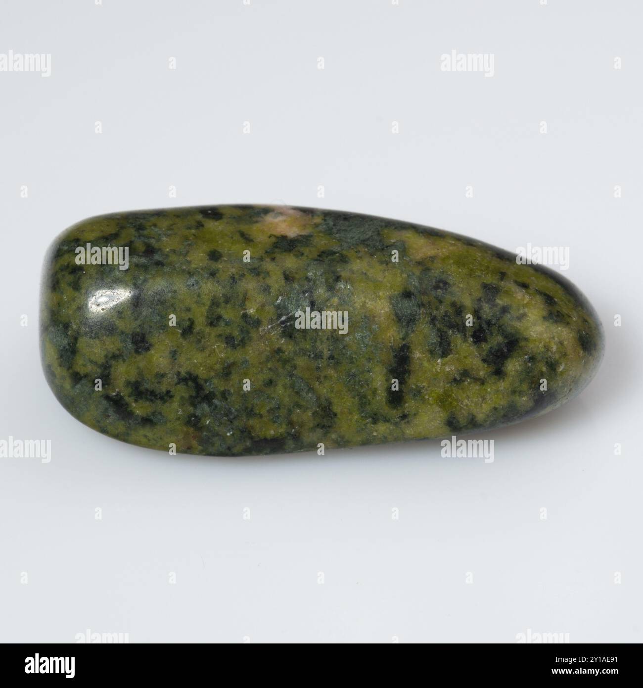Smooth Polished Serpentine Gemstone with Rich Green Hues on a Pristine ...
