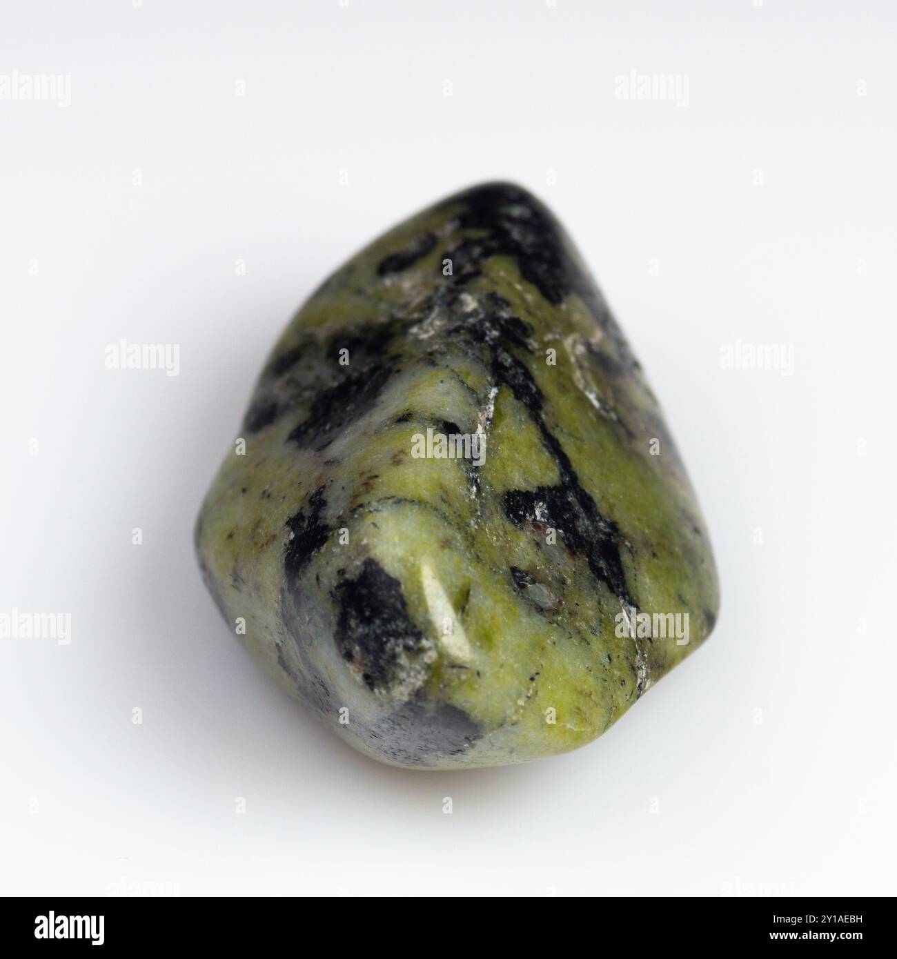 Exquisite Polished Serpentine Gemstone on a Soft White Background Stock ...