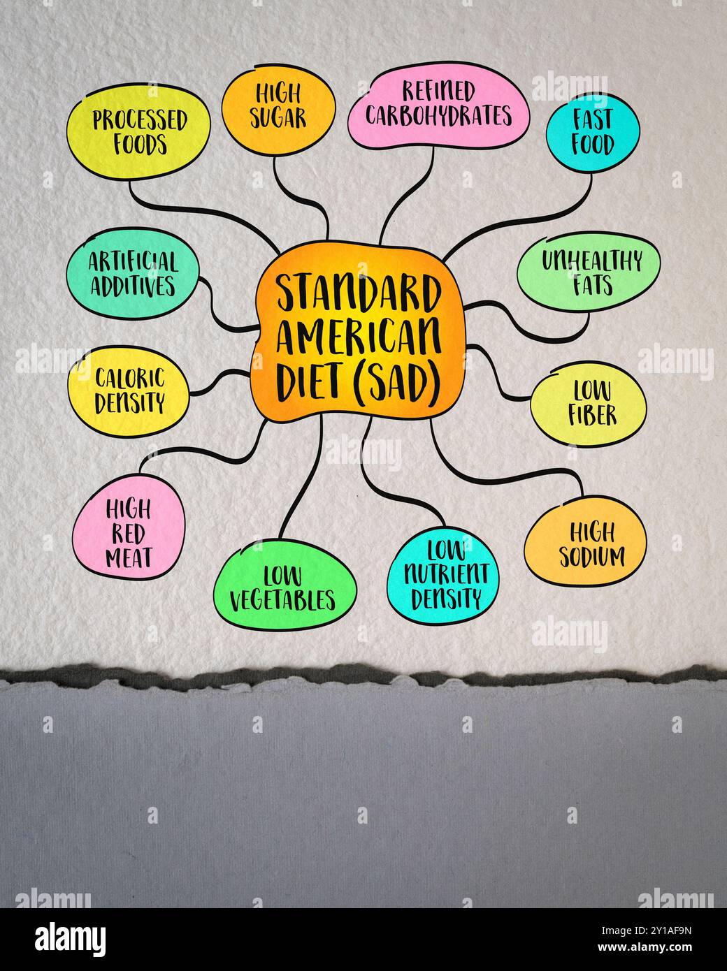 Standard American Diet (SAD), high consumption of processed foods ...
