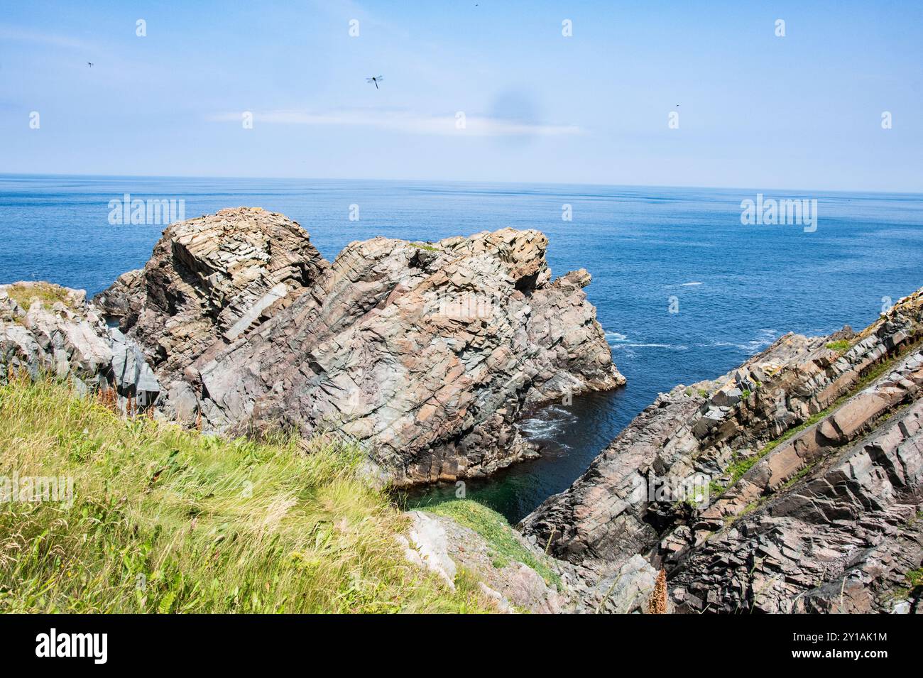 View of Trinity Bay from Cape Bonavista Lighthouse in Bonavista ...