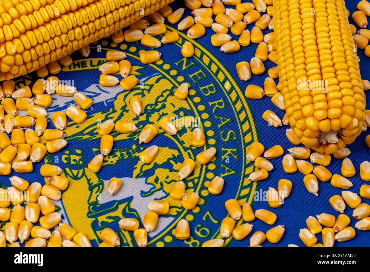 Flag of Nebraska covered in corn kernels. Farming, agriculture and ...