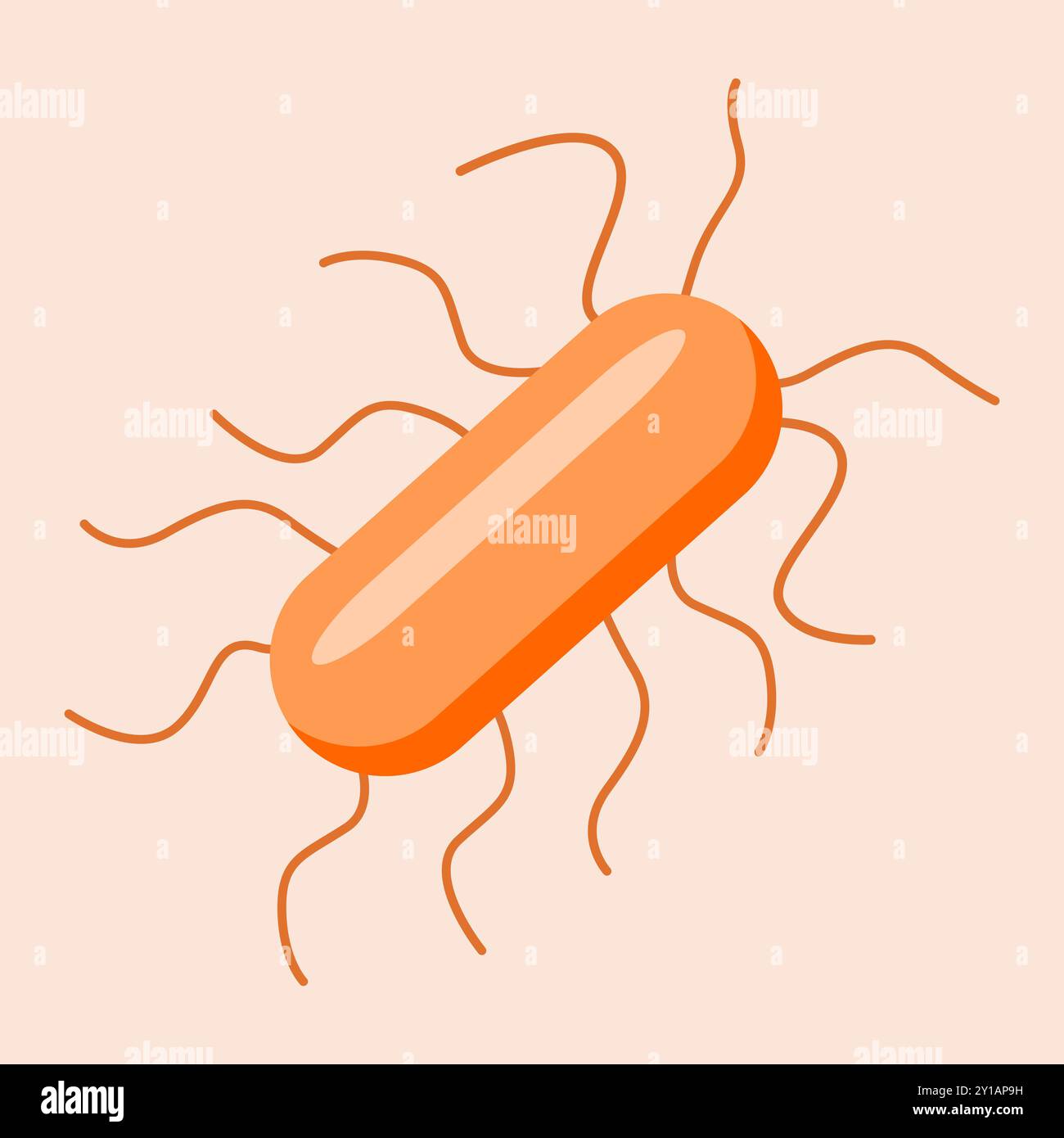 Listeria monocytogenes is a pathogenic bacterium responsible for ...