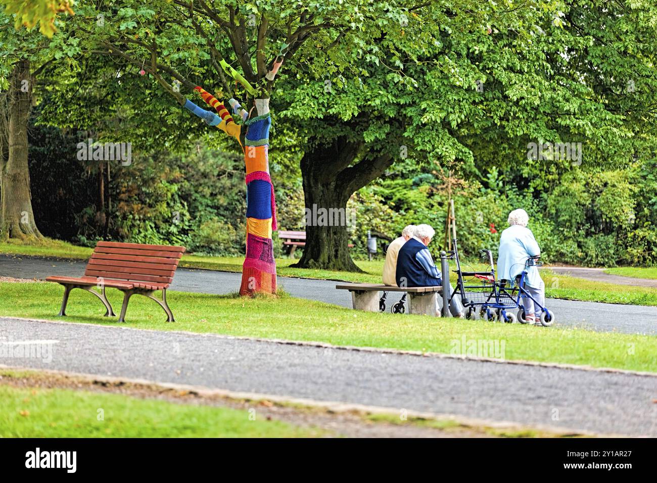 Three senior citizens on a park bench, next to a tree where the trunk ...