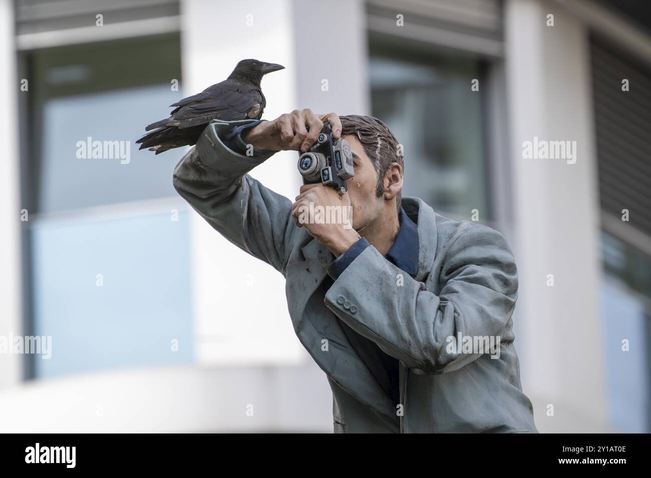 Real crow on a pillar saint, The Photographer, in front of the main ...