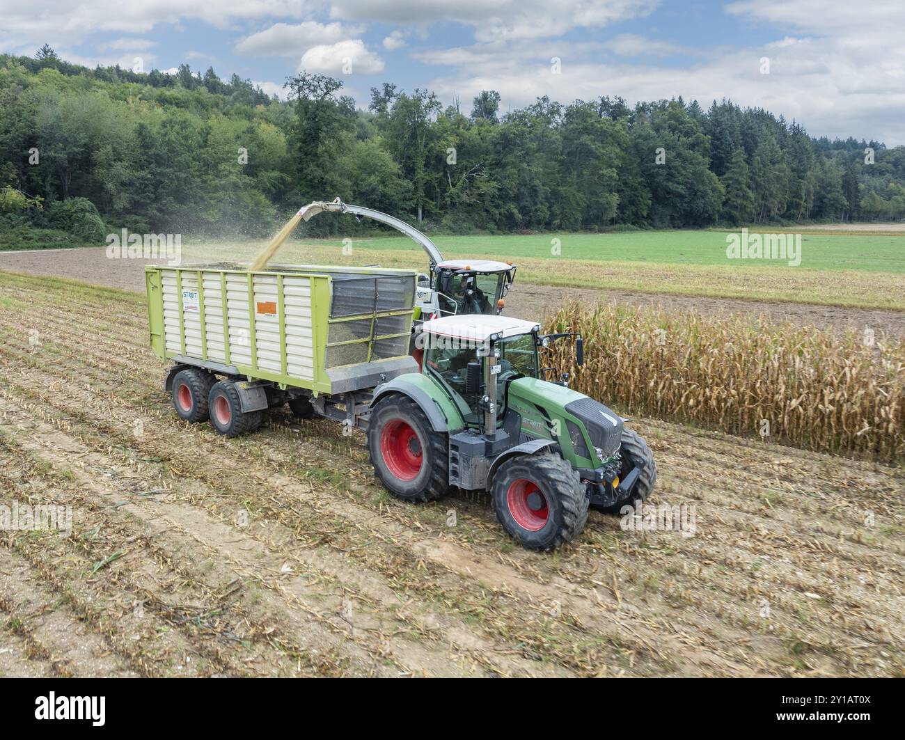 A Fendt 826 tractor with silage transport wagon drives next to a forage ...