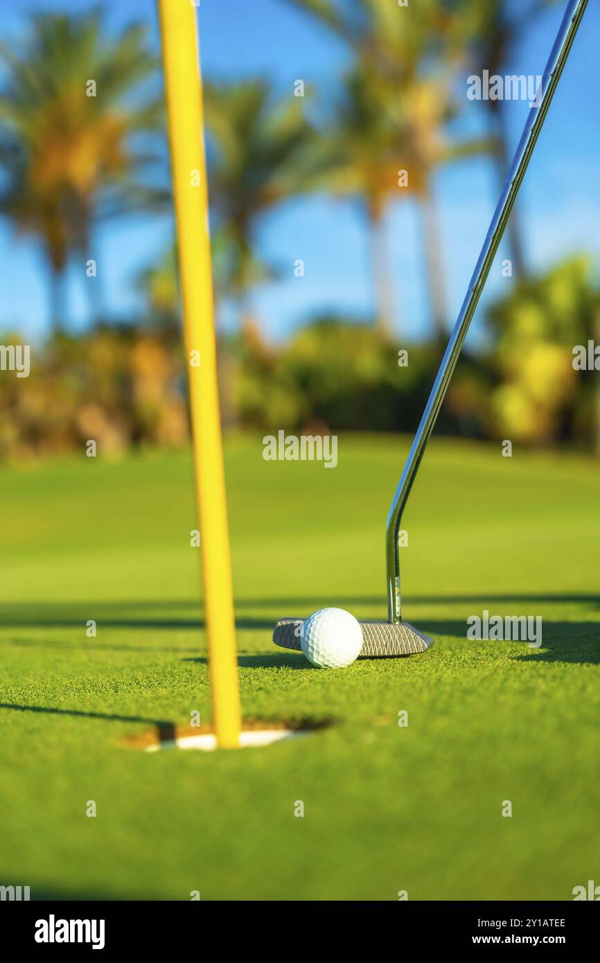 Golf club and golf ball on a green lawn in a beautiful golf course ...