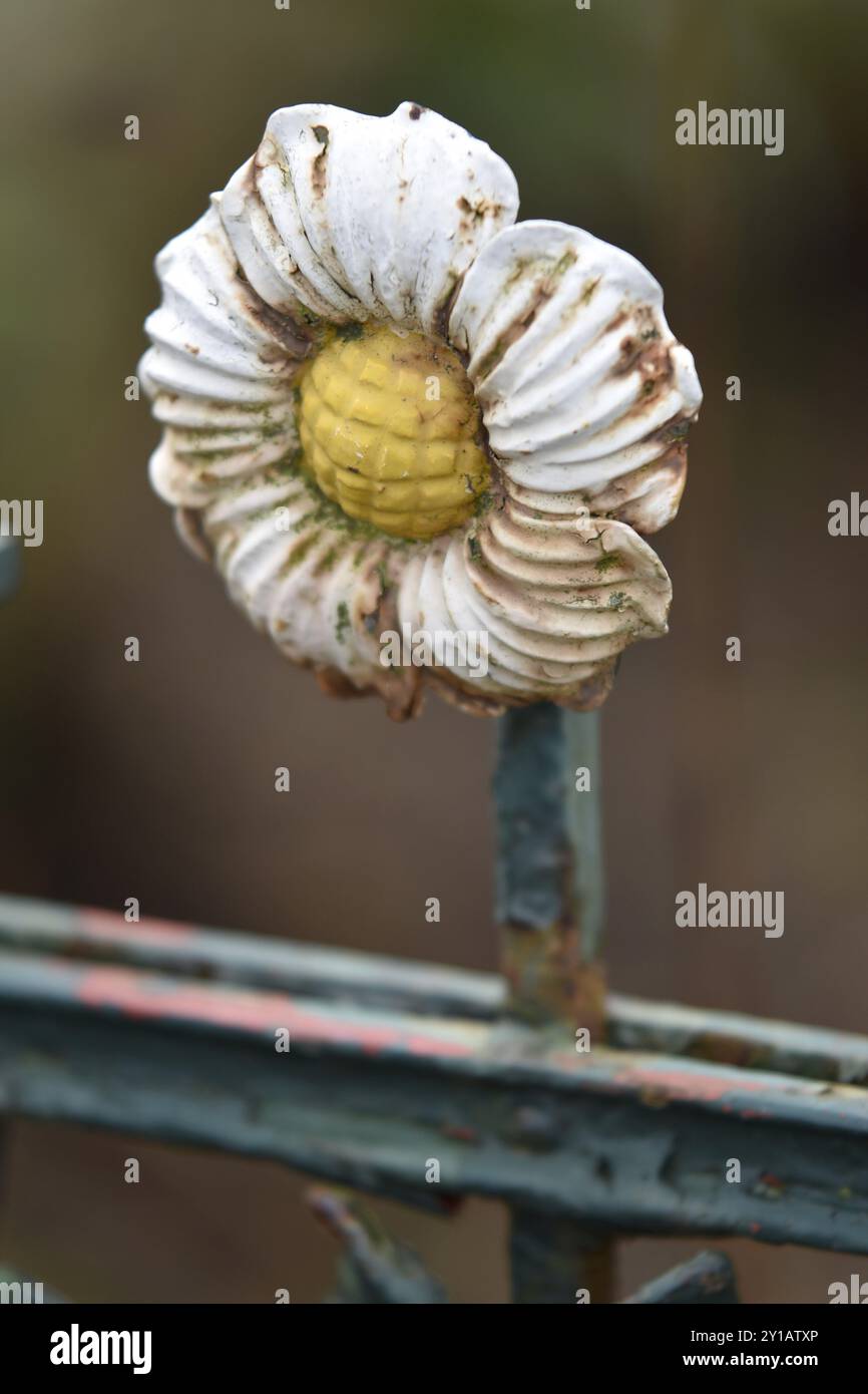 Wrought iron daisy on a garden fence Stock Photo - Alamy
