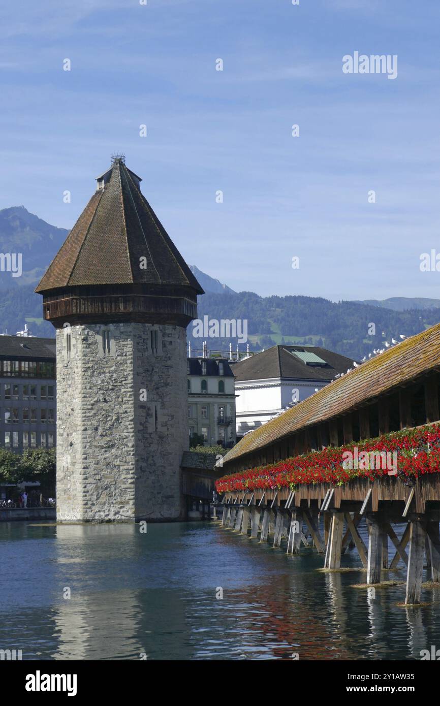 Chapel Bridge and water tower in Lucerne Stock Photo - Alamy