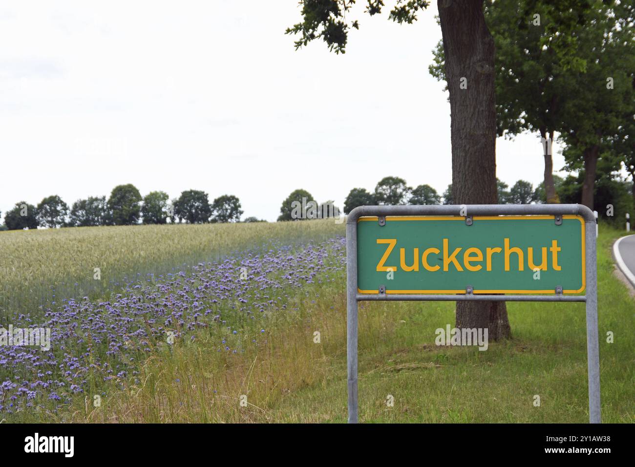Sugar Loaf Mountain traffic sign Stock Photo - Alamy