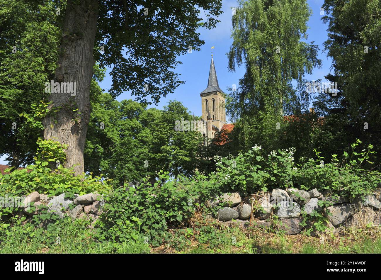 St Mary's Church in Selmsdorf Stock Photo - Alamy