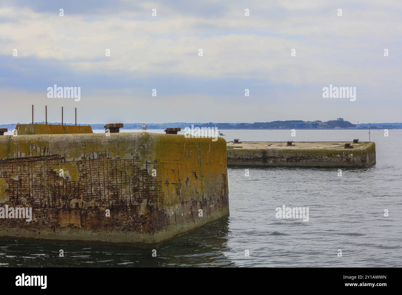 Two dolphins built by the German navy during the Second World War in ...