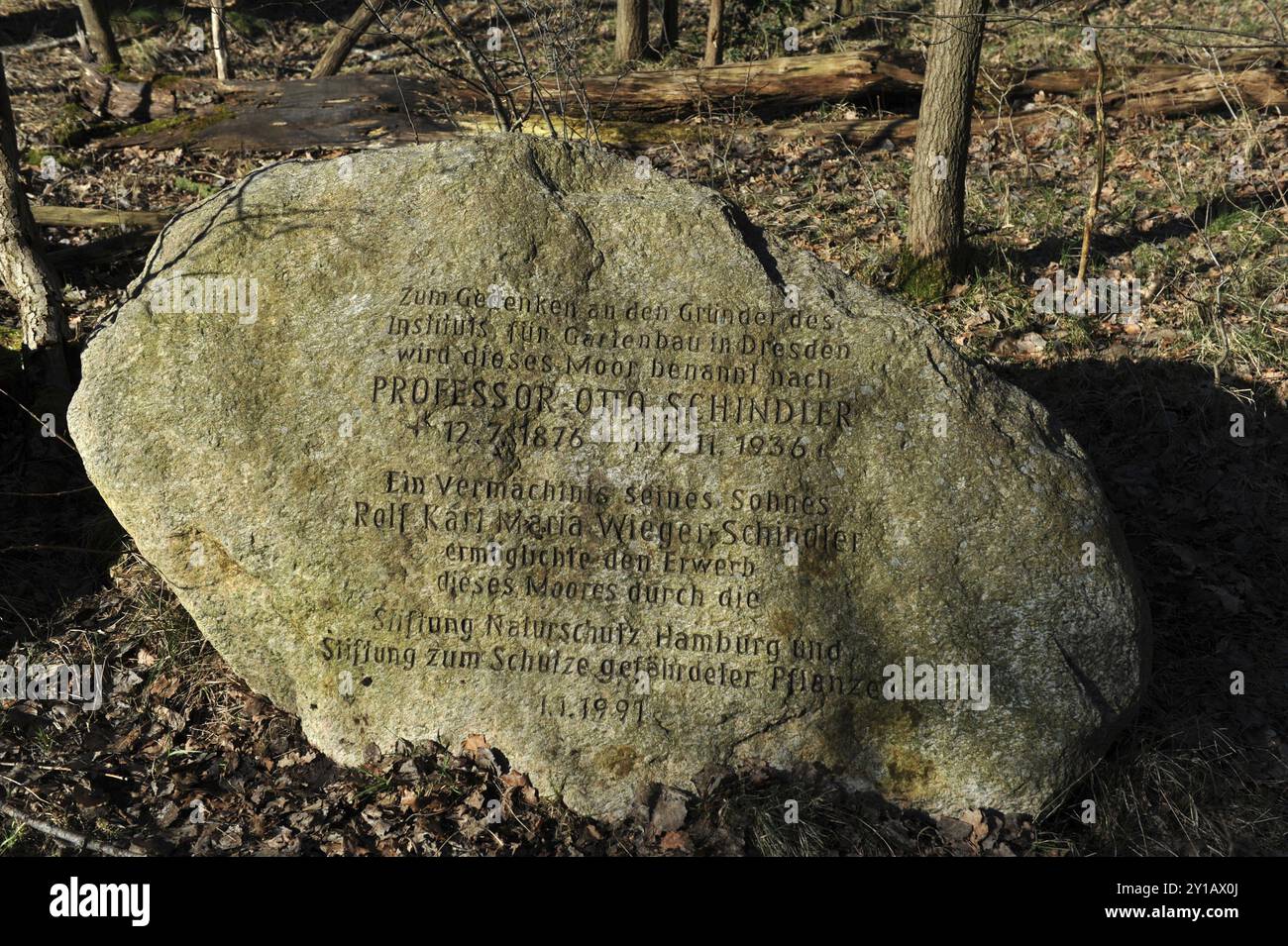 Memorial stone for Professor Otto Schindler in Wittmoor Stock Photo - Alamy
