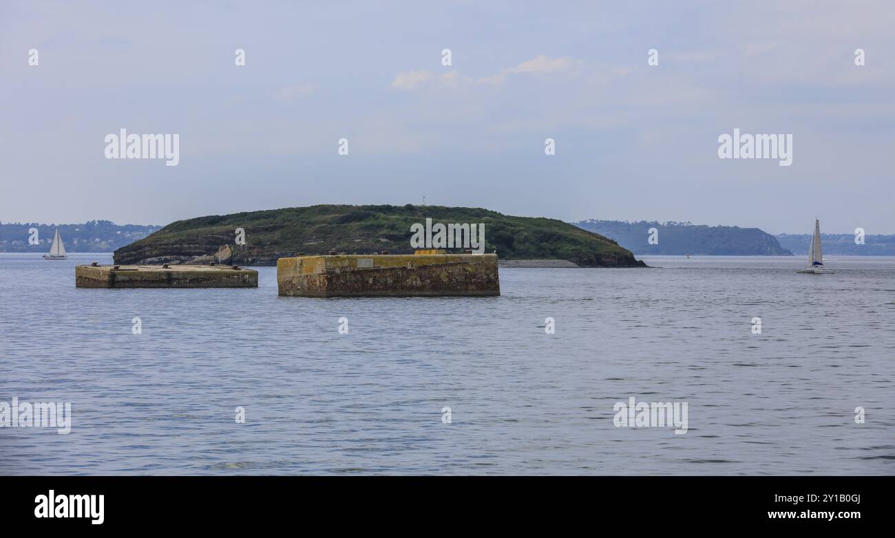 Two dolphins built by the German navy during the Second World War in ...