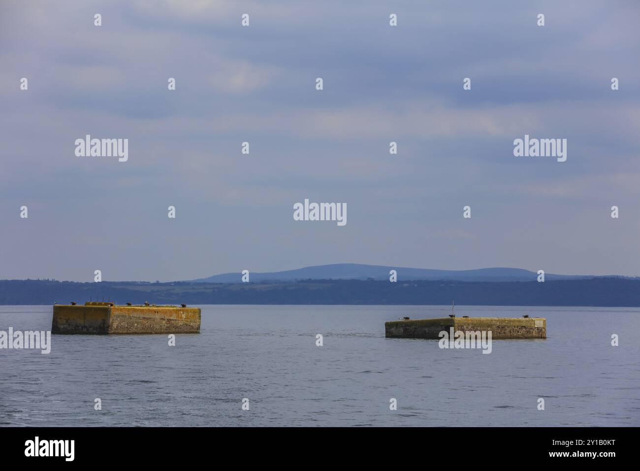 Two dolphins built by the German navy during the Second World War in ...