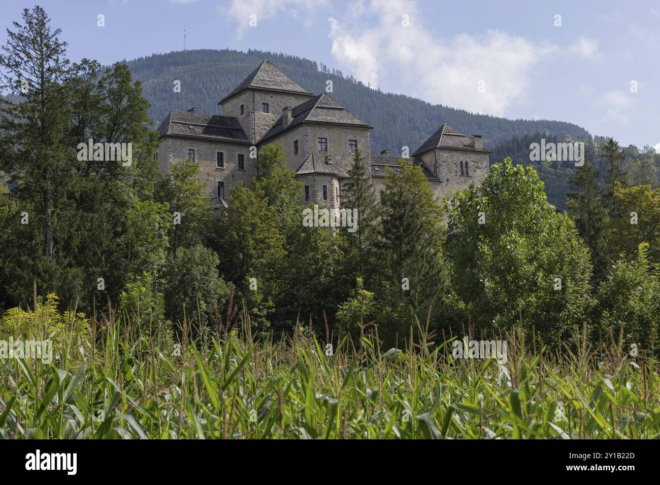 Fischhorn Castle, cornfield, Bruck an der Glocknerstrasse, Pinzgau ...