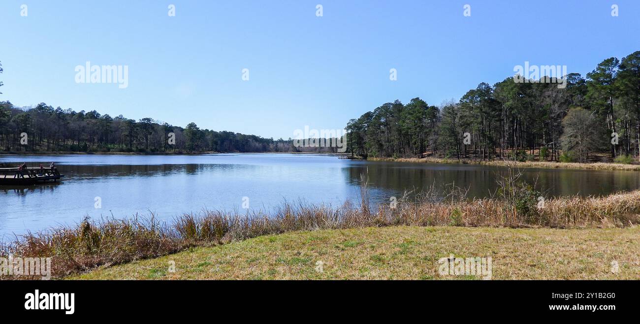 Kisatchie National Forest, Louisiana Stock Photo - Alamy