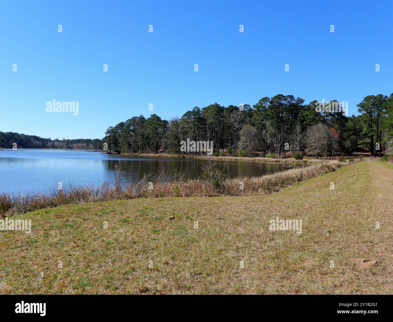 Kisatchie National Forest, Louisiana Stock Photo - Alamy