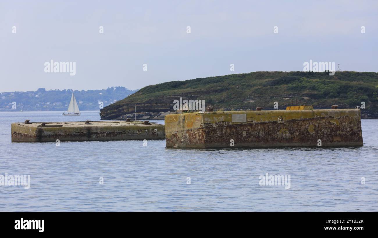 Two dolphins built by the German navy during the Second World War in ...