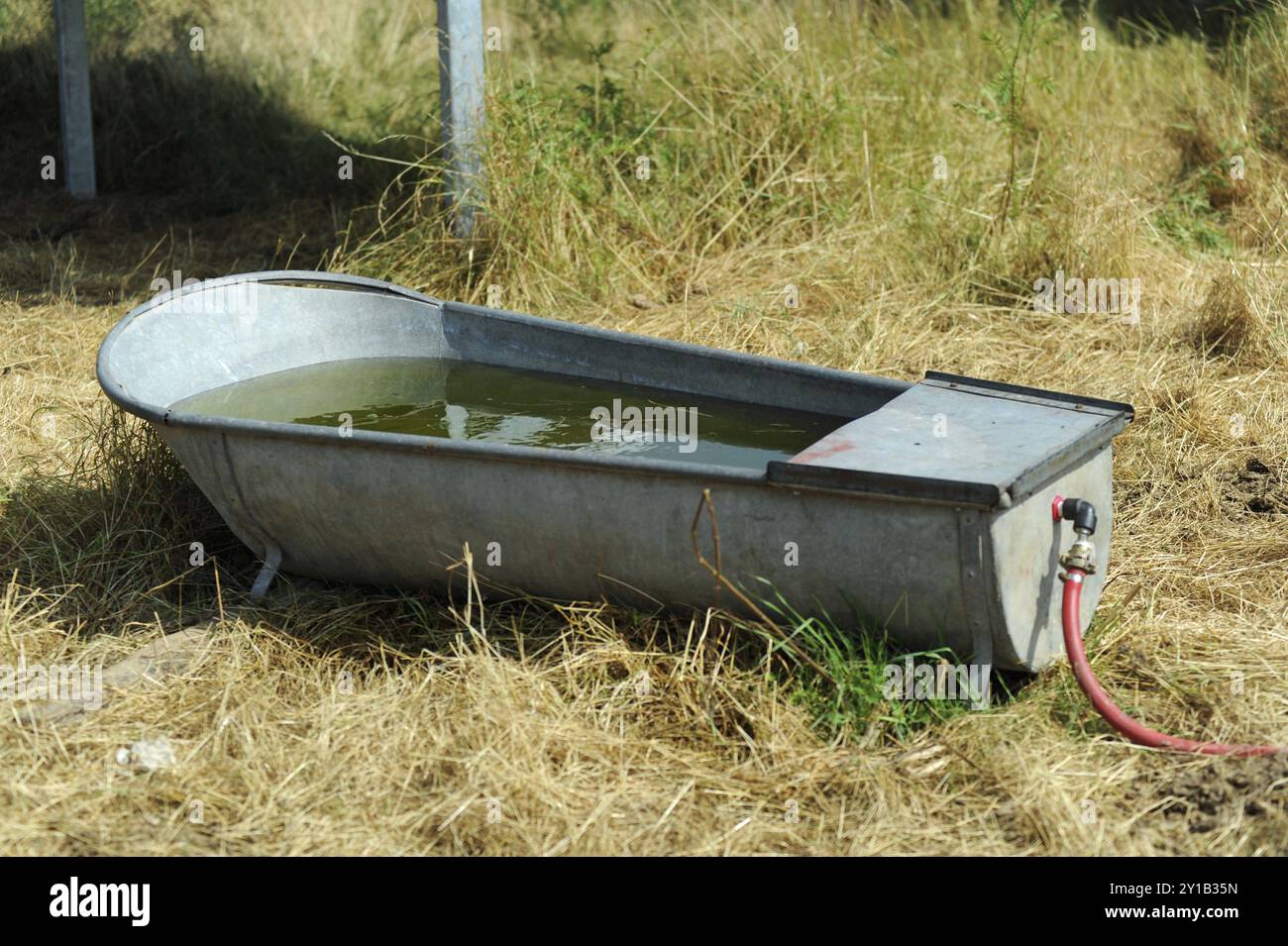 Water troughs hi-res stock photography and images - Alamy