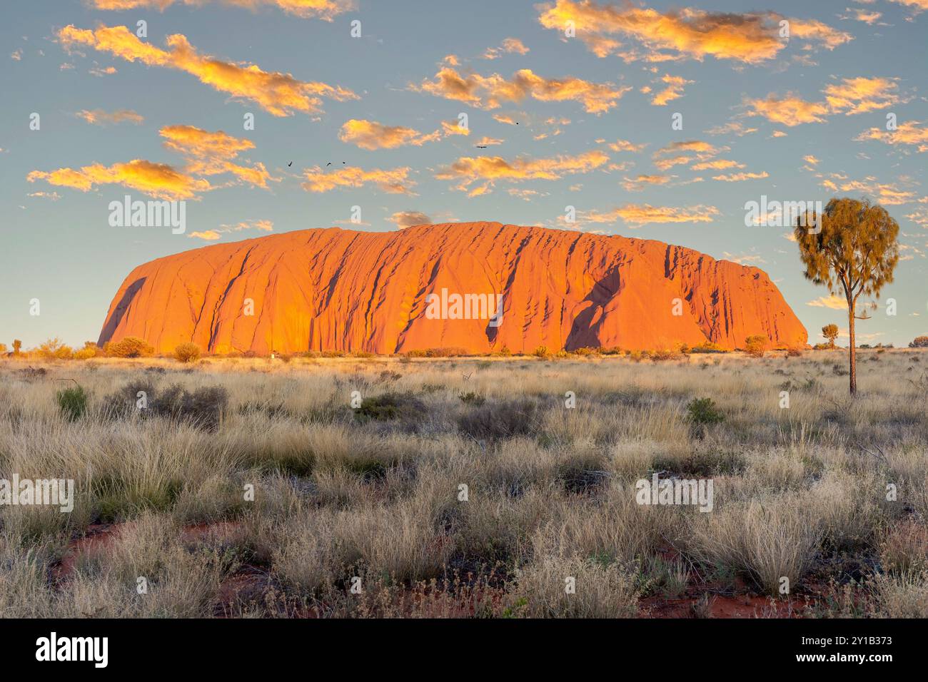 Uluru (Ayers Rock) at sunset, Uluṟu-Kata Tjuṯa National Park, Northern ...