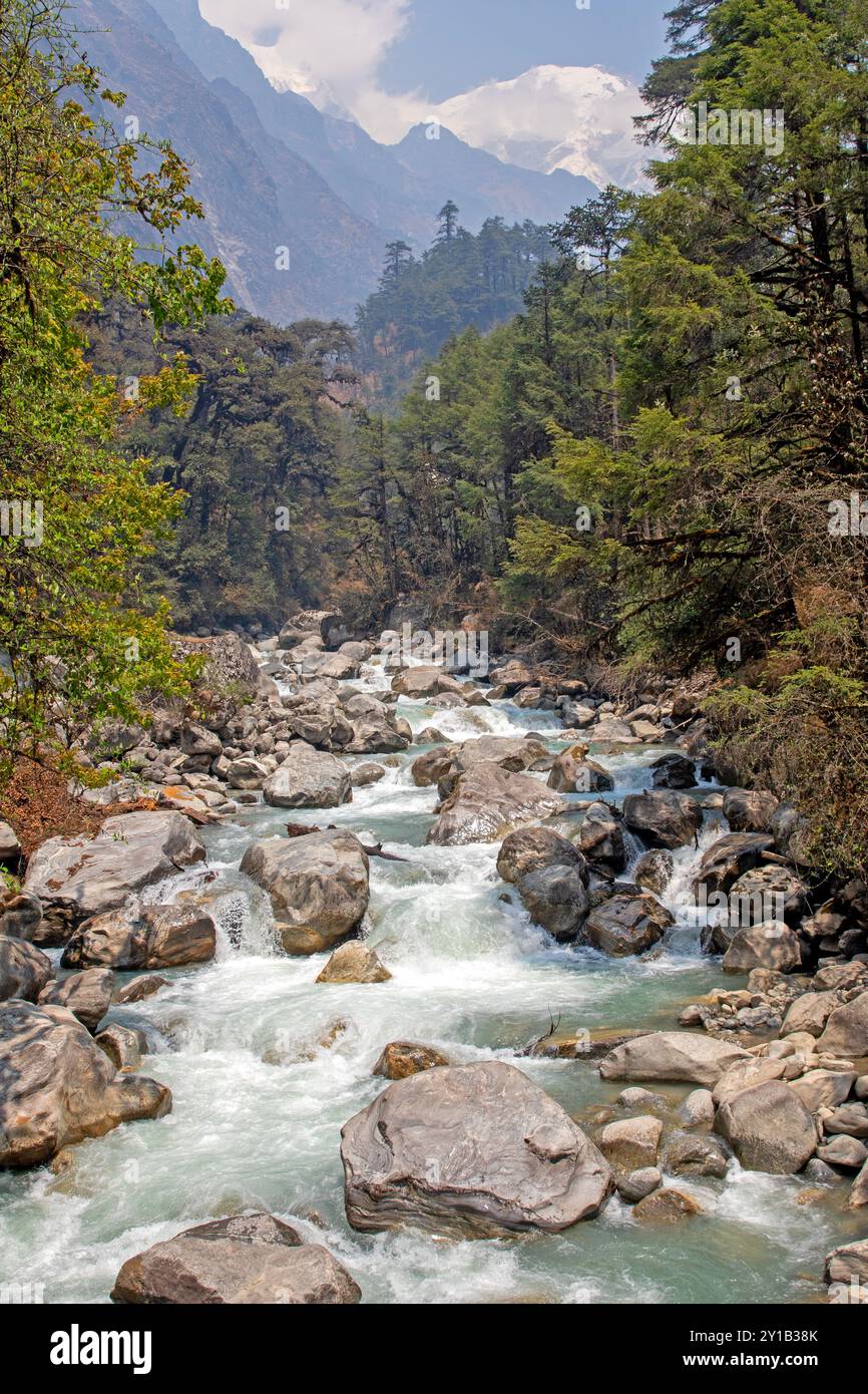 The Langtang Khola river Stock Photo - Alamy