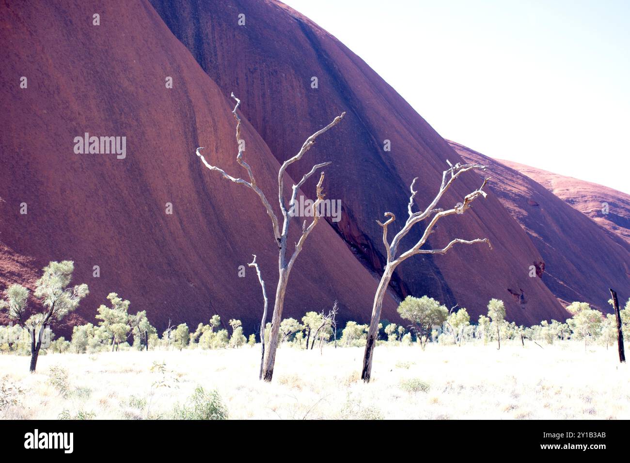View from Mala Walk track, Uluru (Ayers Rock), Uluṟu-Kata Tjuṯa ...