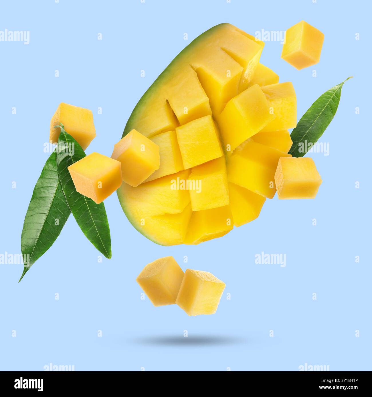 Sweet fresh mango cut in cubes falling on light blue background Stock ...