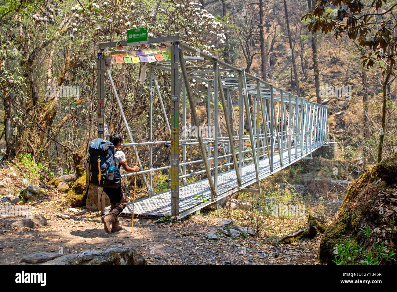 Trekker crossing a bridge in the Langtang Valley Stock Photo - Alamy
