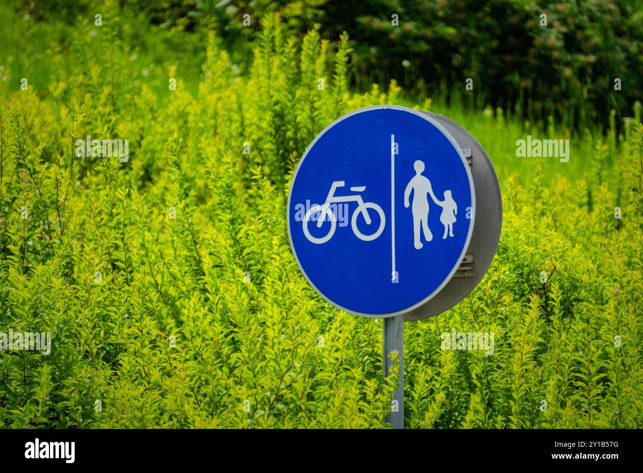 Signs indicating the separation of pedestrians and bicycles on bicycle ...