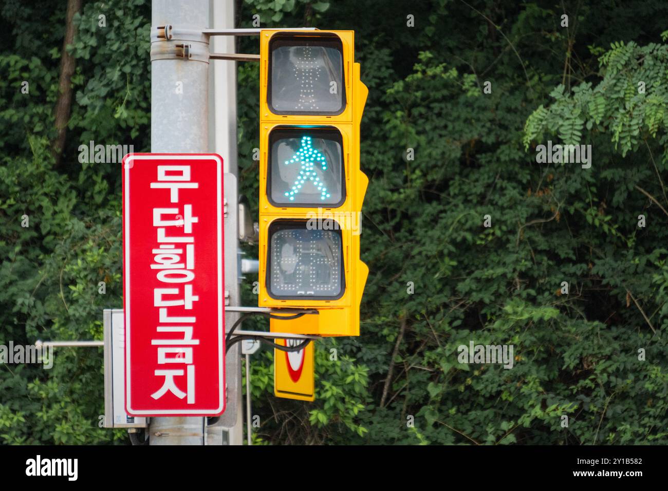 Jaywalking hi-res stock photography and images - Alamy